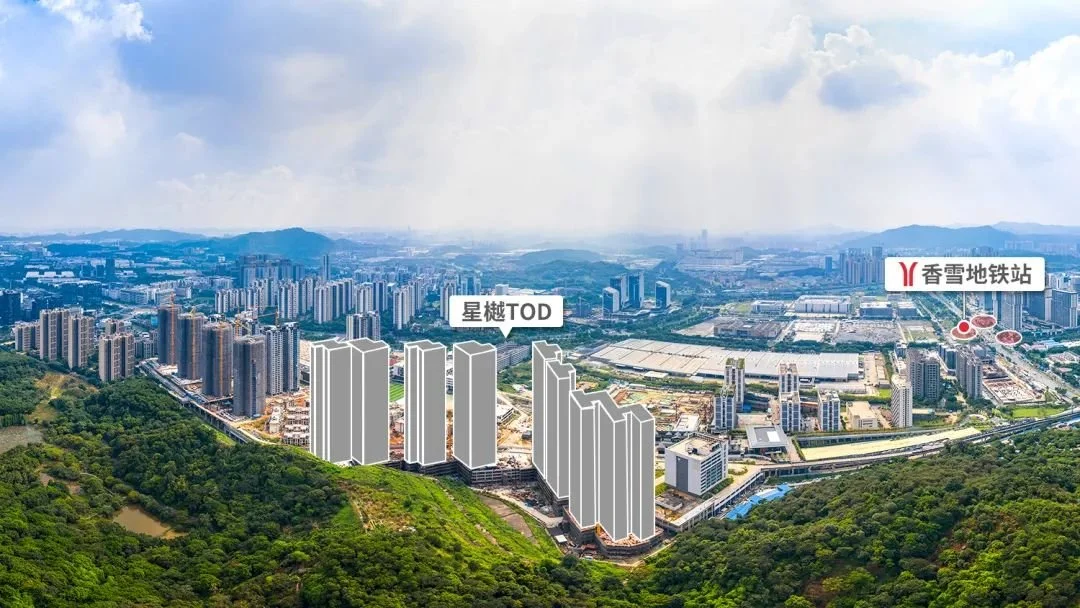 炸裂!二娃广哥,变身007特工!全城搜刮笋盘-房产资讯-房天下