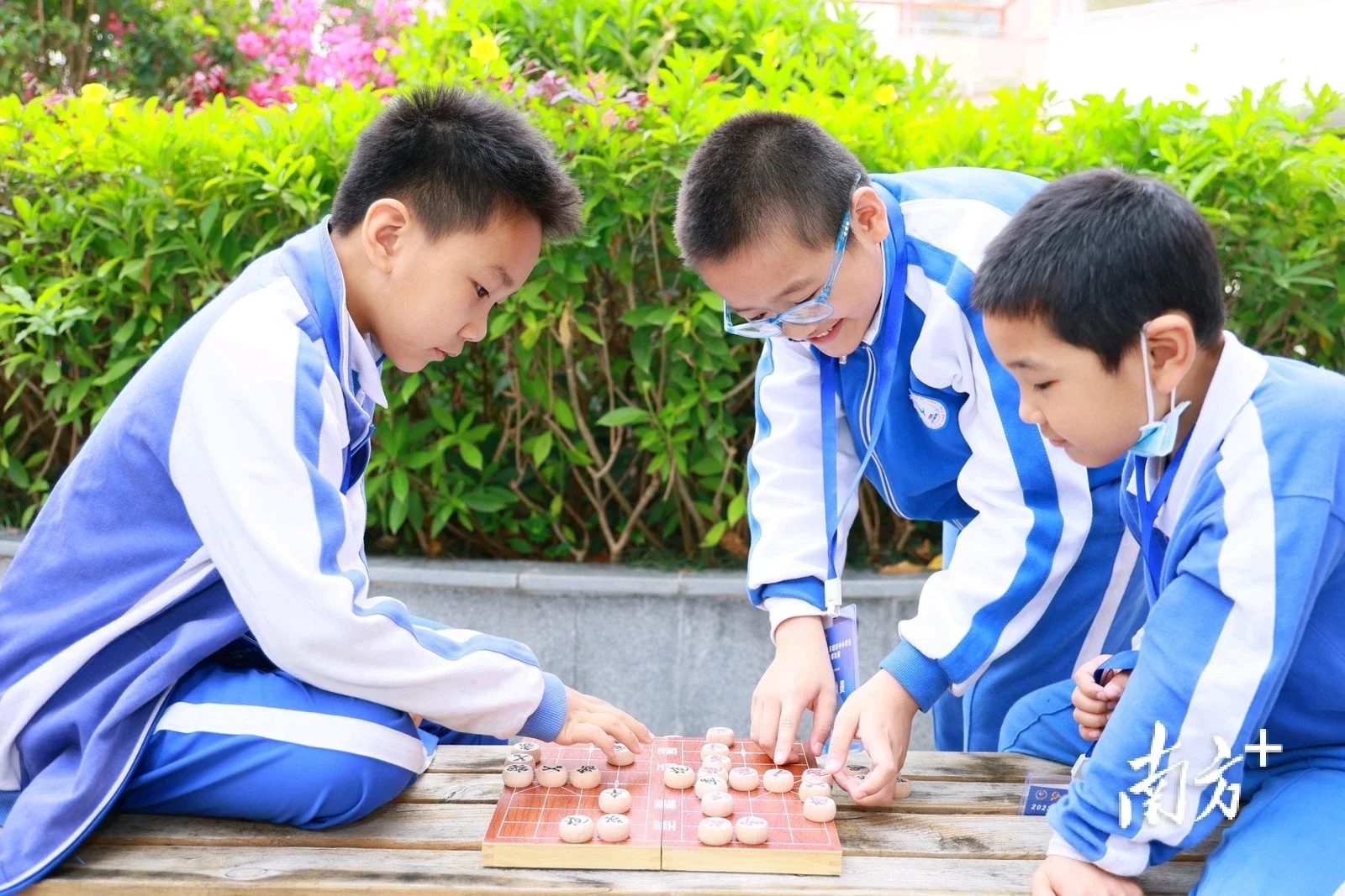 以赛促学，深圳81所中小学象棋选手角逐冠军_房产资讯_房天下